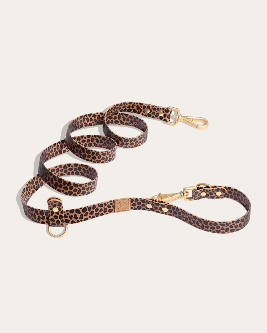 Dog Collar Harness Leash Set | Wander! Bow Kit Blossom – FURRY MUSE