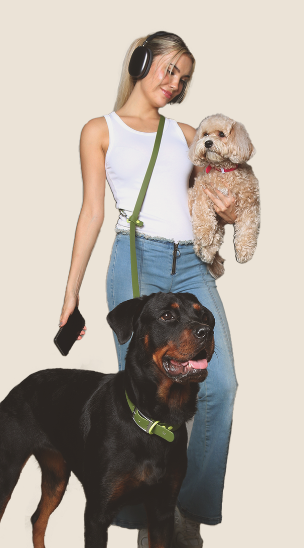 High Performance Pet Gear: Durable Dog Collars, Leashes, & Harnesses ...