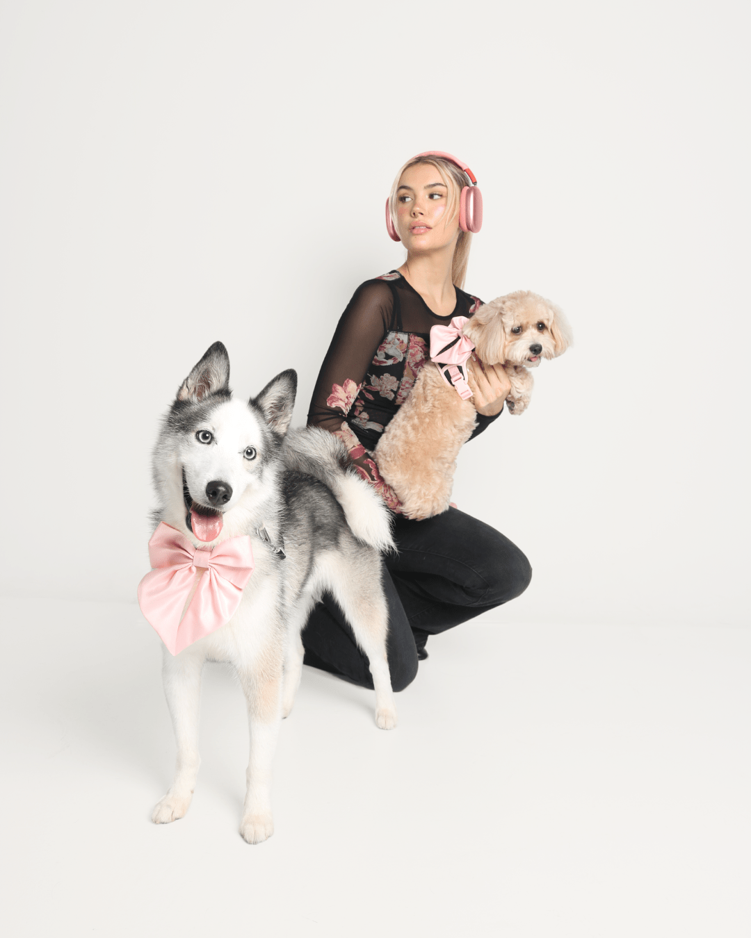 Starter Kit for Pets | Furry Muse Ballerina Essentials – FURRY MUSE