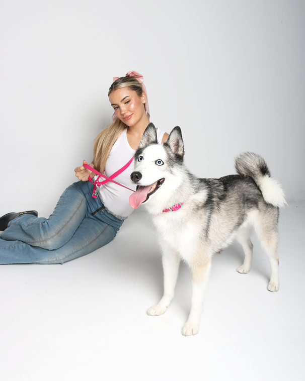 High Performance Pet Gear: Durable Dog Collars, Leashes, & Harnesses ...